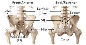 Understanding Hypermobile Hip: Causes and Treatment